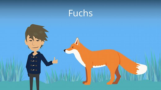 Fuchs: Hund oder Katze?