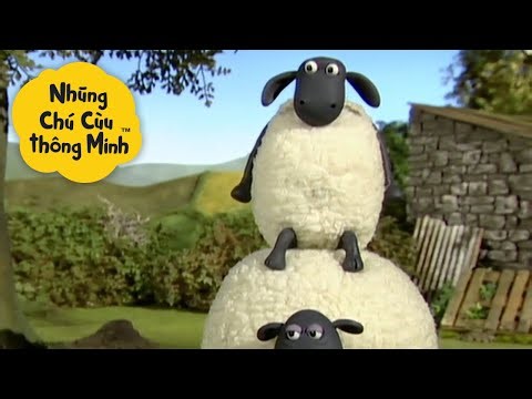 Những Chú Cừu Thông Minh 🐑 🐮🎈 Khoảnh Khắc Vui Nhộn Ở Nông Trại Tập đầy đủ