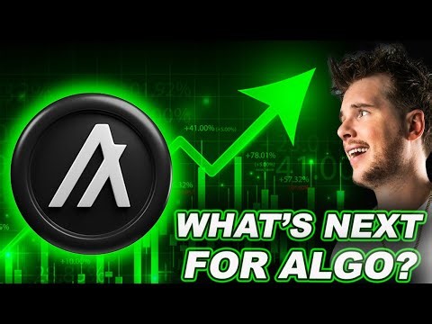 I'm ALL IN On ALGO! (Retail Campaign Explained - INCOMING GAINS)