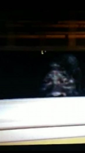 758K views · 21K reactions | Sasquatch Peaking in Window Captured on Camera in Bailey, CO #bigfoot #sasquatch | Rocky Mountain Sasquatch Organization | Facebook