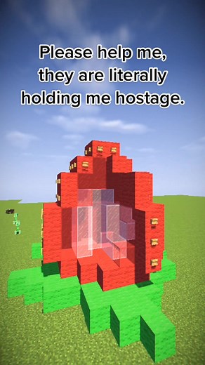 Stream today?? Maybe?? #iCarlyAffirmation #fyp #minecraft #mcyt #ranboo #streamer #dream