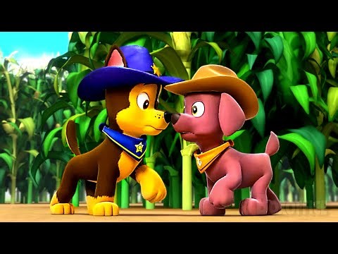 Chase e Marshall no Festival de Pipoca 🍿🐶 | Série Patrulha Canina | Clipe