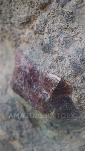 Photonic Lattice Interference | Entry 076