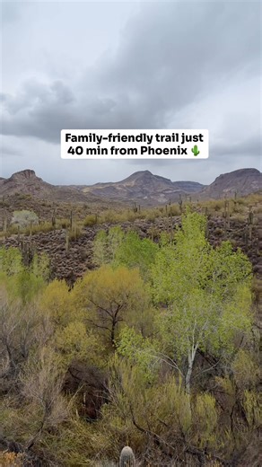 103K views · 1.9K reactions | Located in Spur Cross Conservation Area, Dragonfly Trail is a 1.7-mile family-friendly hike surrounded by beautiful desert views  You might even spot some wildlife along the way! ✨ Please remember to Leave No Trace and pack out what you bring. #hikearizona #explorearizona #cavecreek | Selma_explores | Facebook