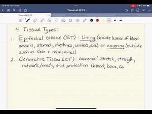 Types of Tissues vid 1: Intro