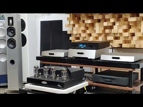 Lumin P1 Mini as complete and full-fledged hub/front-end in multiple and diverse setups Part 1