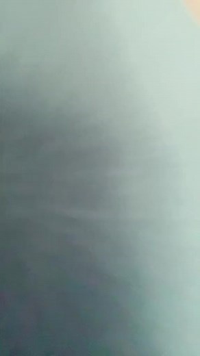 3D Printed Axolotls Finding New Homes