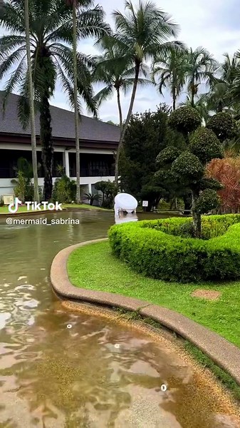 Swim with a real life mermaid @Cyberview Resort & Spa