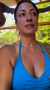 Part 1…. How to tell our 4 clouded leopards apart #ProtectWildlife #animalhumanbond #cloudedleopard #xtremeexoticswildlifefoundation #zookeeper | Xtreme Exotics Wildlife Foundation