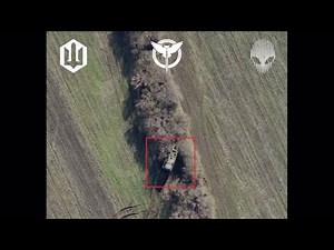 Три доби- три хробачих ЗРК. Працюють Птахи Сил Безпілотних Систем- 412 бригада Nemesis.