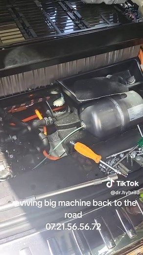 DR.HYBRID (@dr.hybriid)’s videos with original sound - Caribbean Corna