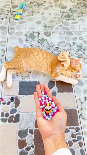 Beads ASMR Cat 🐈 Reverse Cat Satisfying #shorts #cat #asmrvideos #asmr #kitten #satisfying