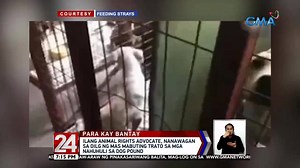 126K views · 1.3K reactions | Hindi raw mga aso kundi 'yung mga pabayang pet owner ang dapat makulong. Giit 'yan ng ilang mga animal rights advocate nang makita nila ang kaawa-awang sitwasyon ng buto't balat na mga aso sa mga dog pound. Balikan ang 24 Oras via livestream: YouTube: https://bit.ly/2TkqQF6 Facebook: https://bit.ly/31R0fV5 | GMA News | Facebook
