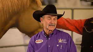 Mike Major explains colt starting is all about reading the colt and teaching them to want to be with you! | Road to the Horse