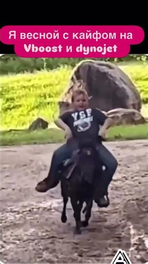 #moto #vbost #dinojet #yamaha #vmax