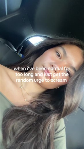 Coping with Stress at Work: The Urge to Scream