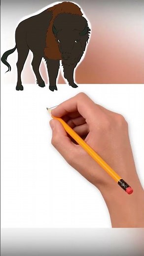 Draw a Bison