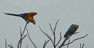 Video by Christopher Borges on Pexels