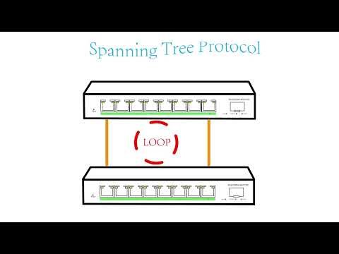 What Is a Network Loop? How STP Prevents Network Crashes Explained!