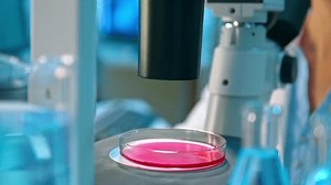 Focused Female Scientist Lab Coat Glasses Stock Footage Video (100% Royalty-free) 3975860701 | Shutterstock