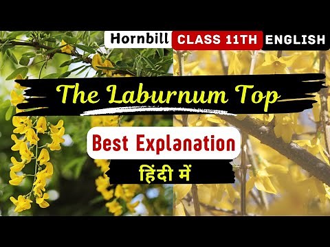 The Laburnum Top Poem Explanation | CBSE/State Board Class 11 English | Complete Analysis