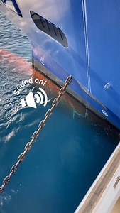 9.7K views · 707 reactions | “# Shackles in the water” A shackle in...