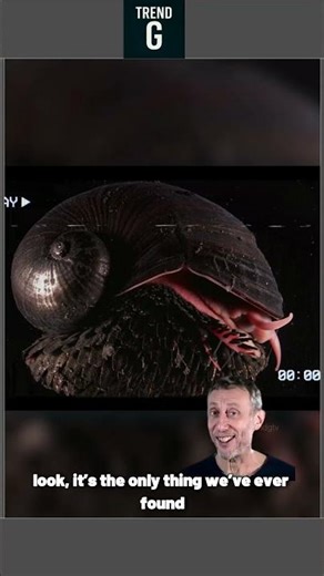 Volcano Snail: The Iron‑Armored Creature of the Deep! 🌋🐌 #fyp #fypシ #facts