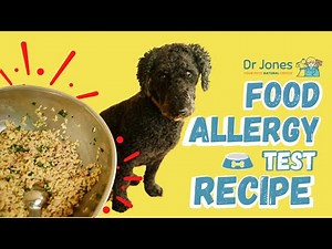Constantly Itching Dog? Dr. Jones Talks Best Allergy Tests and Home-Cooked Fixes!