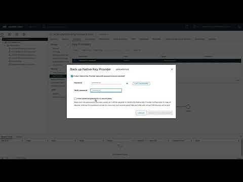 Configuring the vSphere Native Key Provider and vSAN Encryption with vSphere/vSAN 7.0u2
