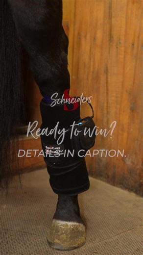 💜 GIVEAWAY ALERT! This one’s lit… literally. 💡 We’re giving away a Purple Light Therapy Bundle valued at a jaw-dropping $2,900! 👀✨ 🎁 One winner 🗓️ Winner announced 1/13/2026 📩 Sign up now and glow up your barn game! This is your sign… in purple light. 😎 🔗 https://bit.ly/499oLDT Please note that this giveaway is not affiliated with or sponsored by Meta. BEWARE OF SPAM: Although the winner will be announced on Facebook, you will not be contacted via Facebook or comments | Schneider Saddler