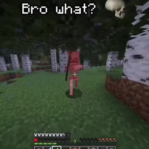 Minecraft Skeleton Falling Meme Compilation