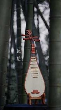 The pipa is a traditional Chinese plucked string instrument and is known as the "King of Folk Music"