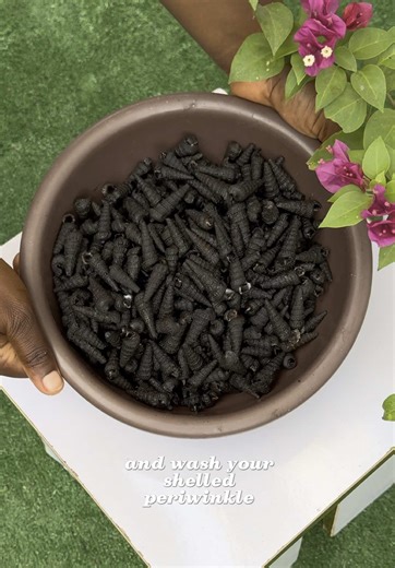 How to Clean Periwinkle for Cooking