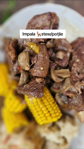 Delicious Homemade Impala Stew Recipe