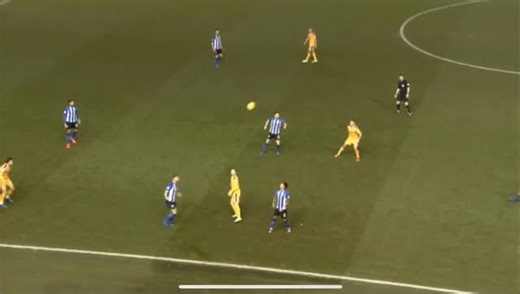 1.6K views · 274 reactions | There’s nobody better… All at TWW Towers would like to wish @stevenfletcher9official the very best following his announcement retirement this evening. Certainly one of the best strikers we’ve had at Hillsborough since the Premier League era - what are your fondest memories of him? ⬇️ Share them here! gbsct ⚽️ ⬇️ #swfc #wawaw | The Wednesday Week | Facebook