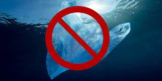 Plastic Bag Bans Reduce U.S. Waterways Pollution