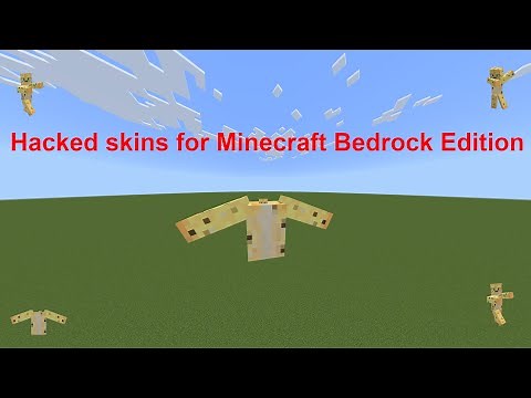 Hacked skins for Minecraft Bedrock Edition (2b2tpe)