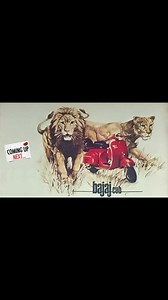 1K reactions · 63 shares | इसका नाम 'Colt' या 'Filly' रखना था! Bajaj...