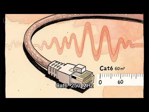 Running 10GBASE-T Over Cat6 vs Cat6A vs Cat7 vs Cat8 Cabling