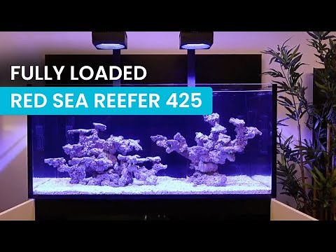 Fully Loaded Red Sea Reefer 425: The Ultimate Reef Setup! 🐠🌊