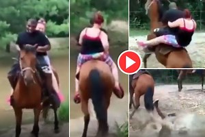 प्रेमी के साथ घोड़े पर मस्ती कर रही थी लड़की, तभी हंसी के पात्र बन गए दोनों | देखें Video