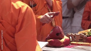 Chinese Buddhist monks engaged in a chanting ritual Stock Video