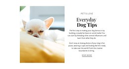 Tips every day - Website Template by Nicepage