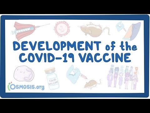 Development of the COVID-19 Vaccine