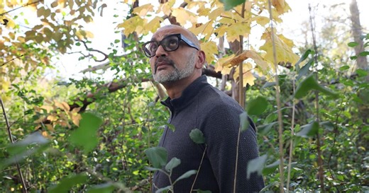 One Great Idea: Let’s plant the seeds of a stronger ecosystem