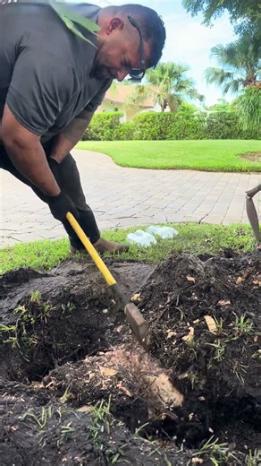 Rocky Vibes, Plumbing Wins