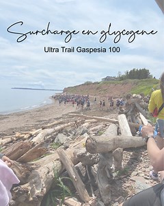 Voici des exemples d'aliments que j'intègre dans ma surcharge en glycogène ! Dans cette surcharge en glycogène, j'étais sur la route ce qui demande beaucoup d'adaptation. J'ai apporté beaucoup d'aliments avec moi, surtout les collations et j'ai mangé la majorité de mes repas au restaurant ou avec des options d'épicerie. D'ailleurs, si tu as besoin d'aide pour avoir un plan de surcharge en glycogène personnalisé pour tes prochains évènements, j'offre un accompagnement complet qui te permet d'avoi