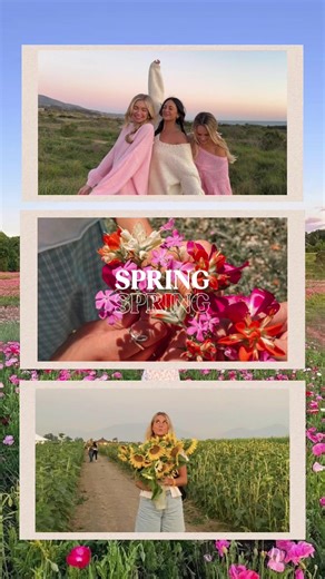 Spring is here 🌷 •spring template #spring #capcut #springoutfits #april #peace
