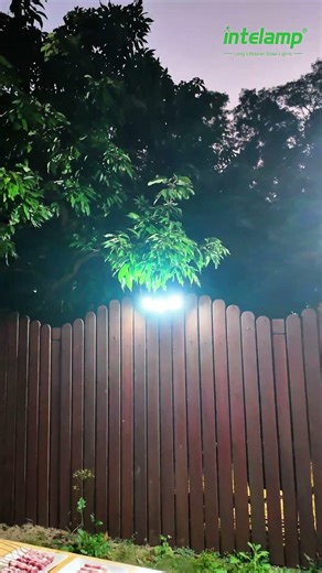 Solar light outdoor with motion sensor #intelamp #solarlight