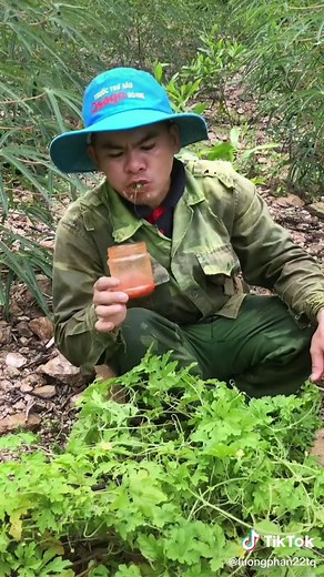 Foraging for Edible Wild Plants in Nature